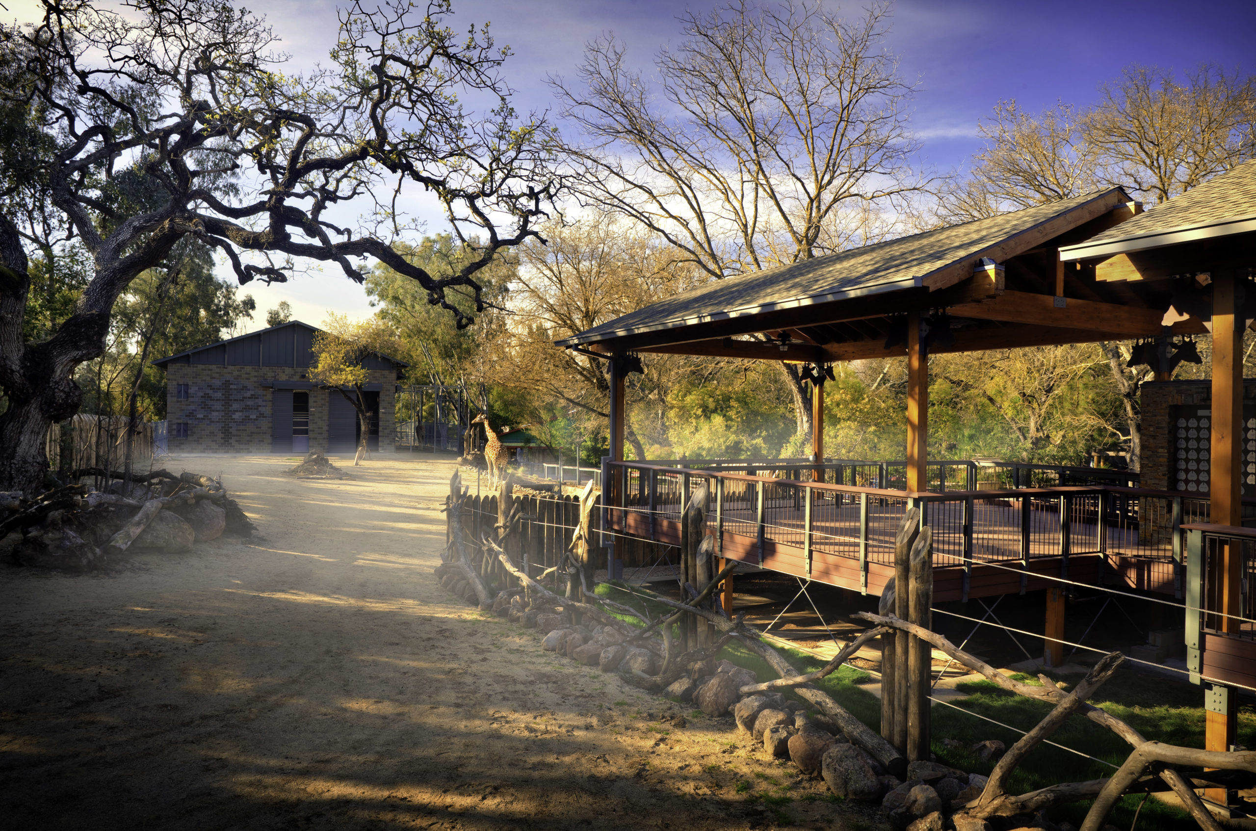 Sacramento Zoo Giraffe Barn - Nacht & Lewis